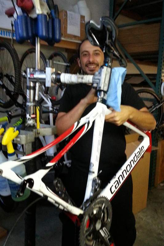 Lauren’s Blog | Lauren Van Ham